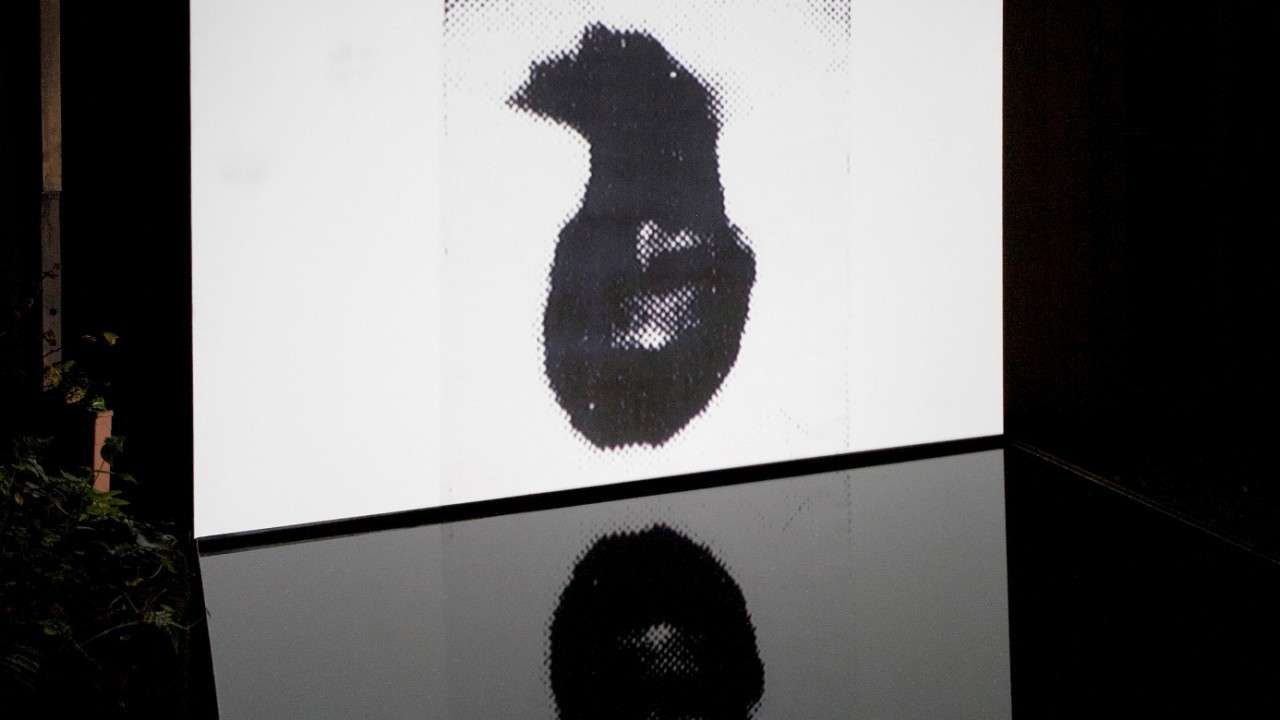 Ausstellungen 2020 | Raumimpuls